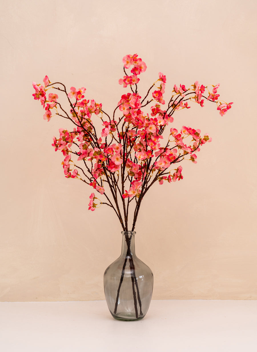 Fleurs de Cerisier – AZIN - FR