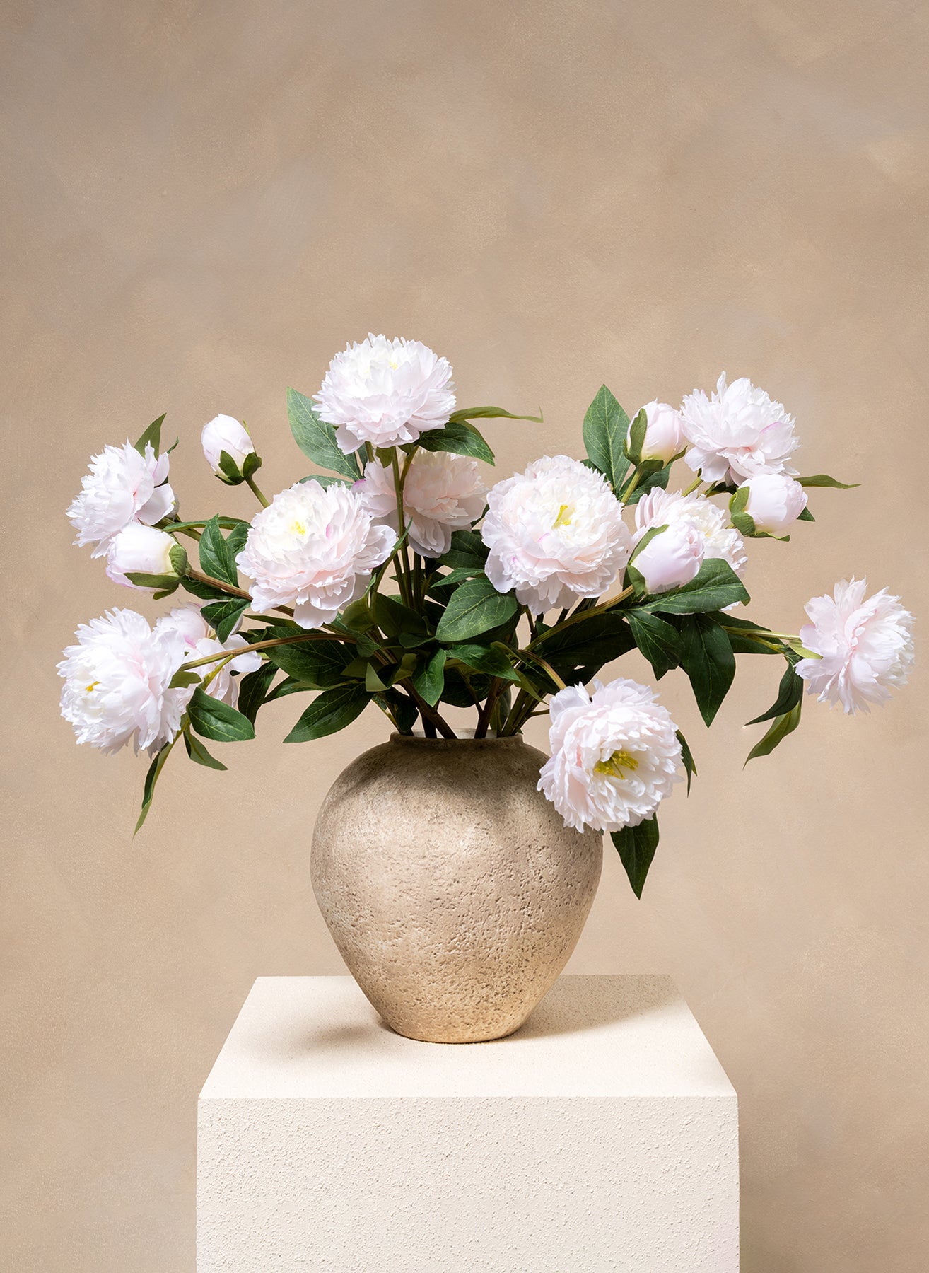 Pivoines - Rose Pâle (6 tiges / 18 têtes de fleurs) – AZIN - FR