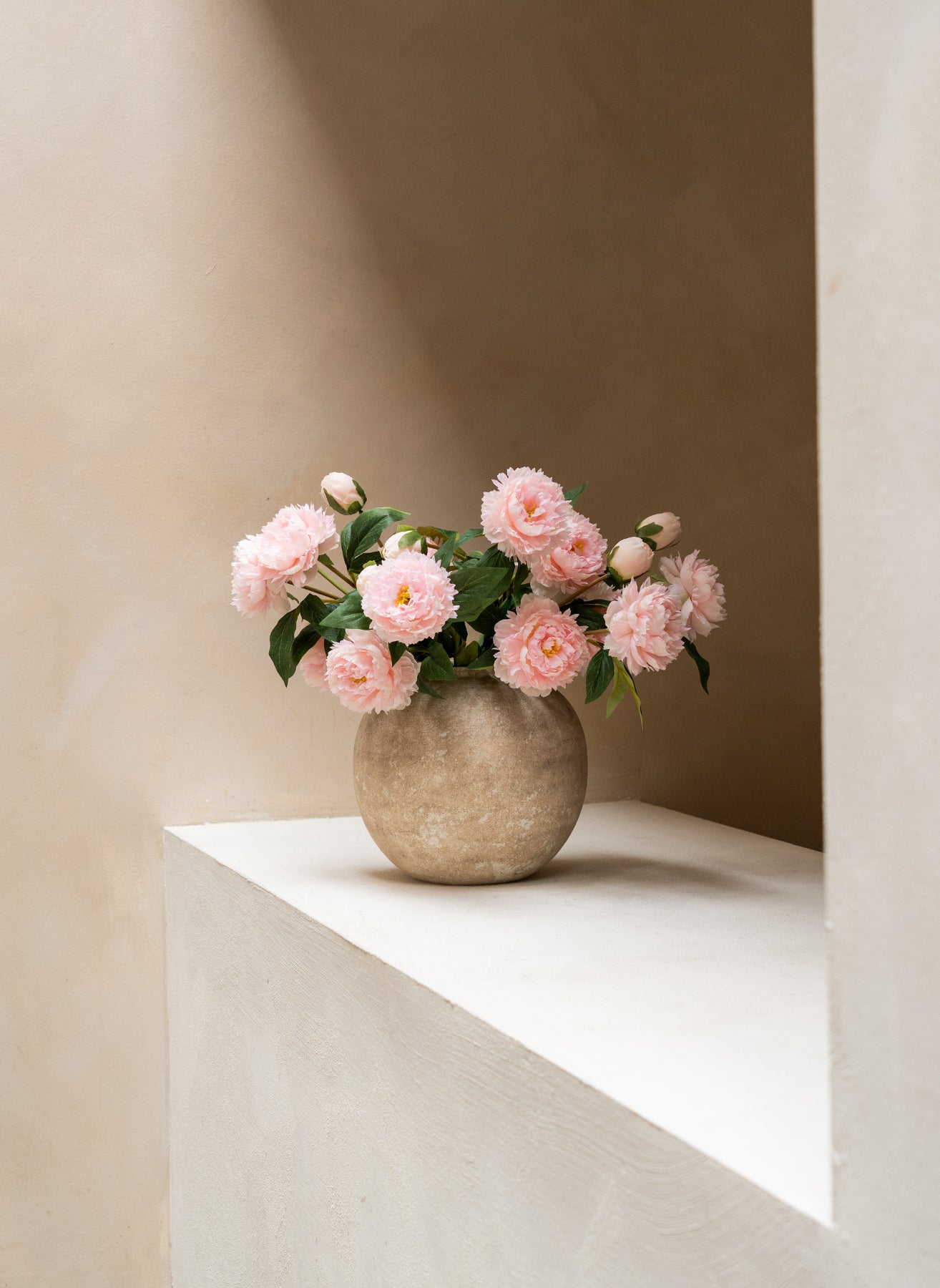 Pivoines - Rose (6 tiges / 18 têtes de fleurs) – AZIN - FR