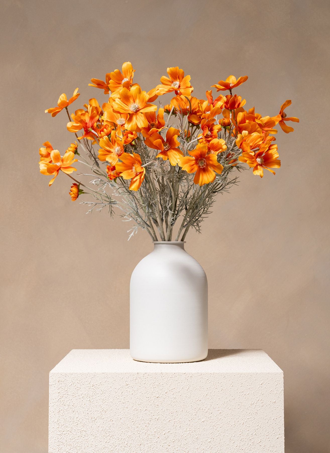 Fleurs de Marguerite - Orange (10 tiges) – AZIN - FR