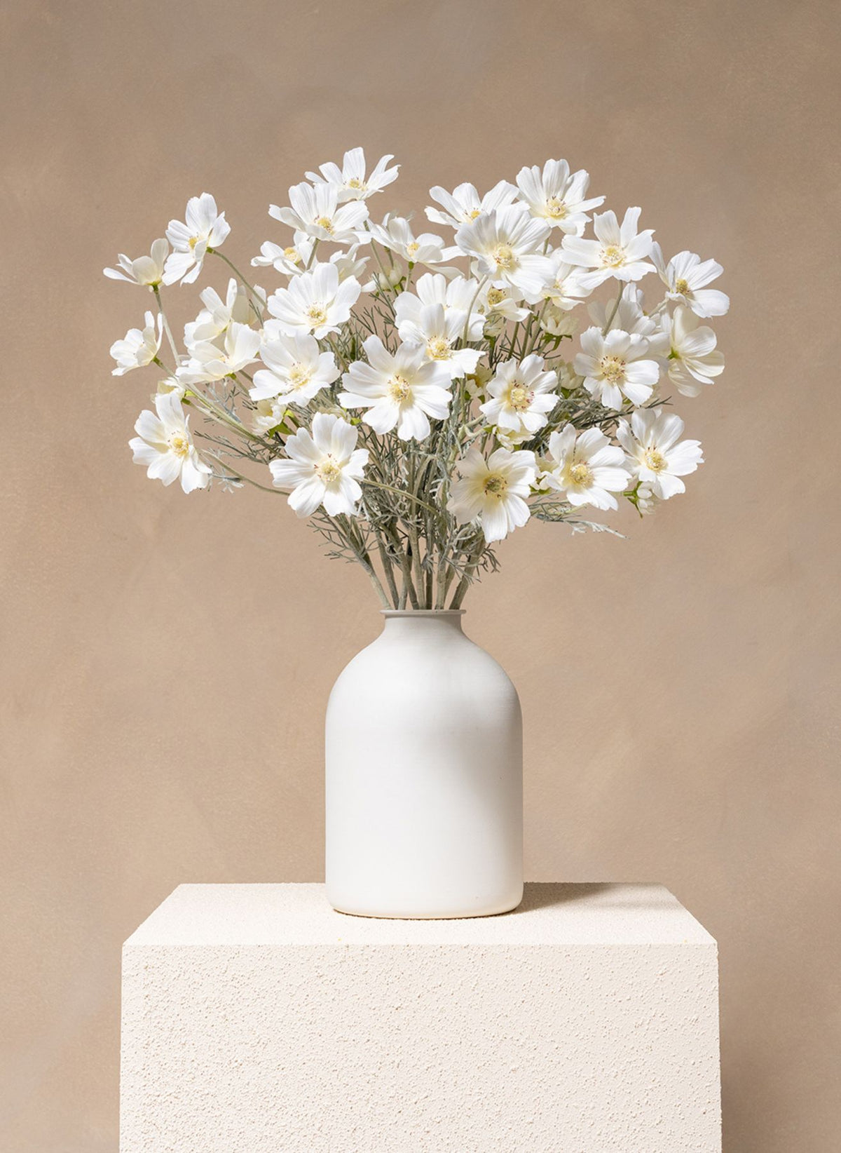 À Propos – AZIN - FR