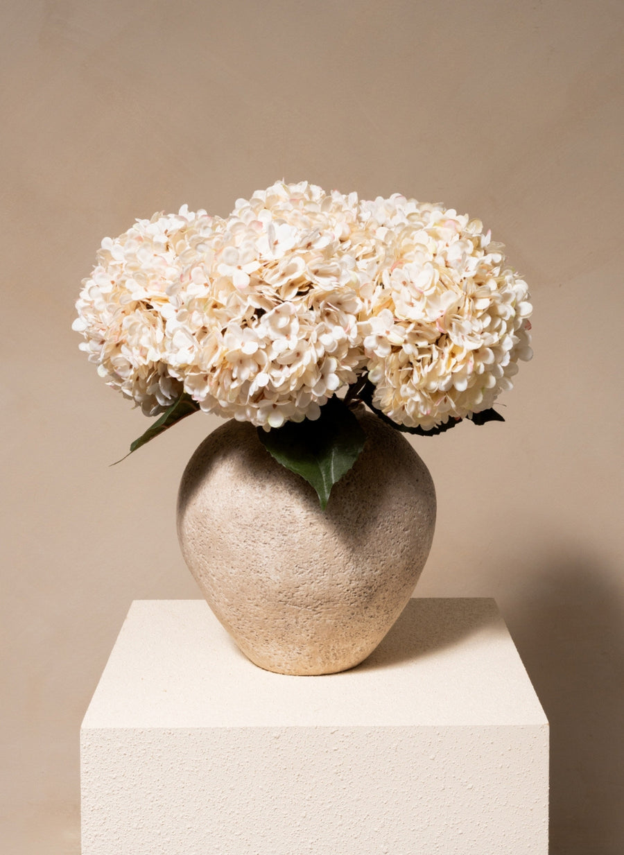 Collection Automne – AZIN - FR