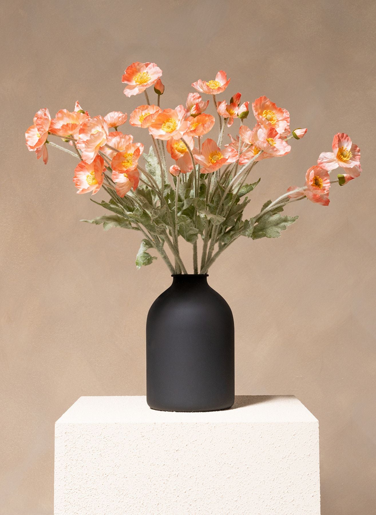 Coquelicots - Vieux rose (10 tiges) – AZIN - FR