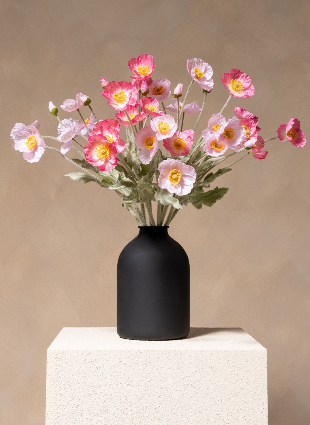 Coquelicots - Mélange rose (10 tiges) – AZIN - FR