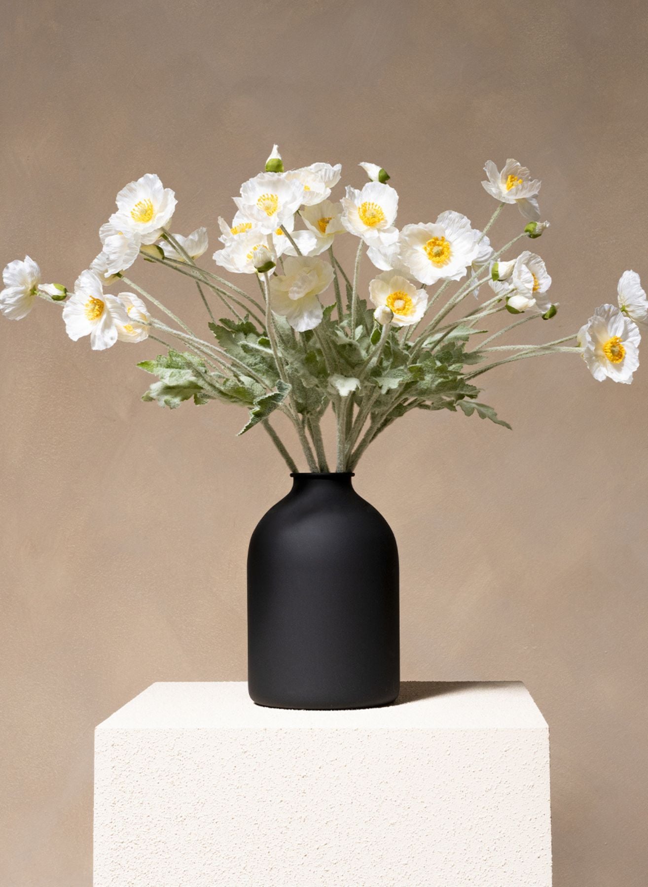 Coquelicots - Blanc (10 tiges) – AZIN - FR